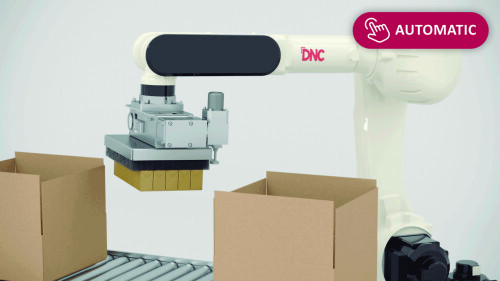 Case packing robot | DNC Packaging